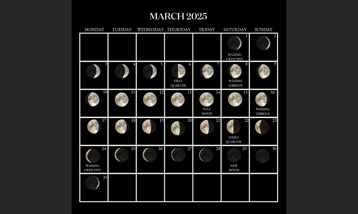 The Full Moon in March 2025: What You Need to Know – CFS News