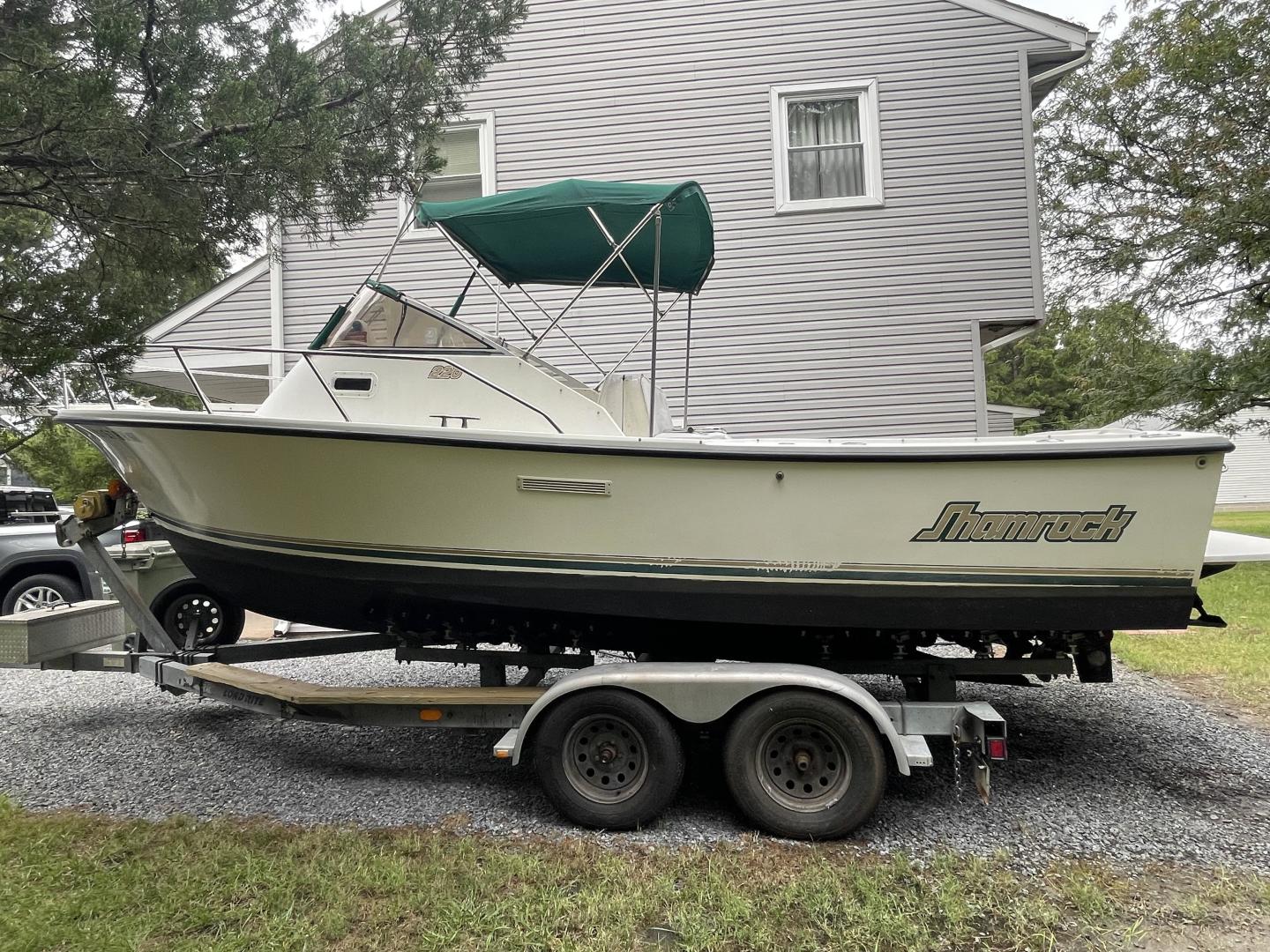 The Cultural Significance of the Shamrock in Australia – CFS News