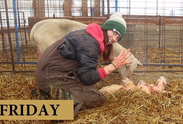 Sandy Brock: Influencing Modern Agriculture – CFS News