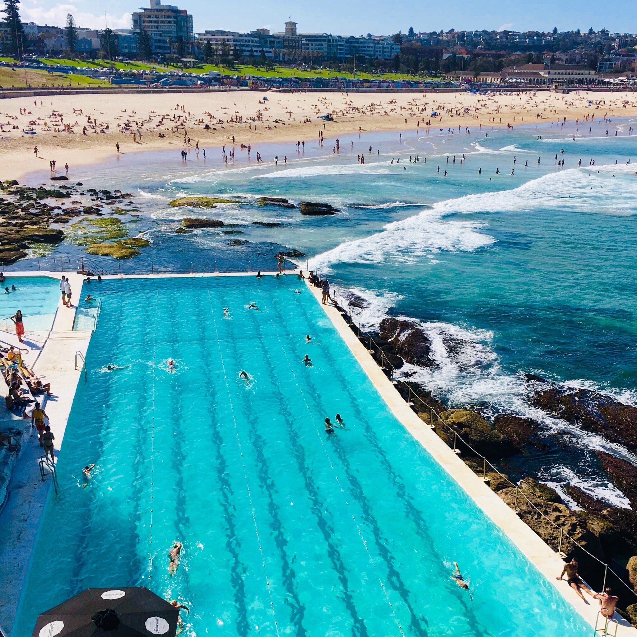 Discovering Sydney’s Bondi Beach: An Iconic Coastal Destination – CFS News