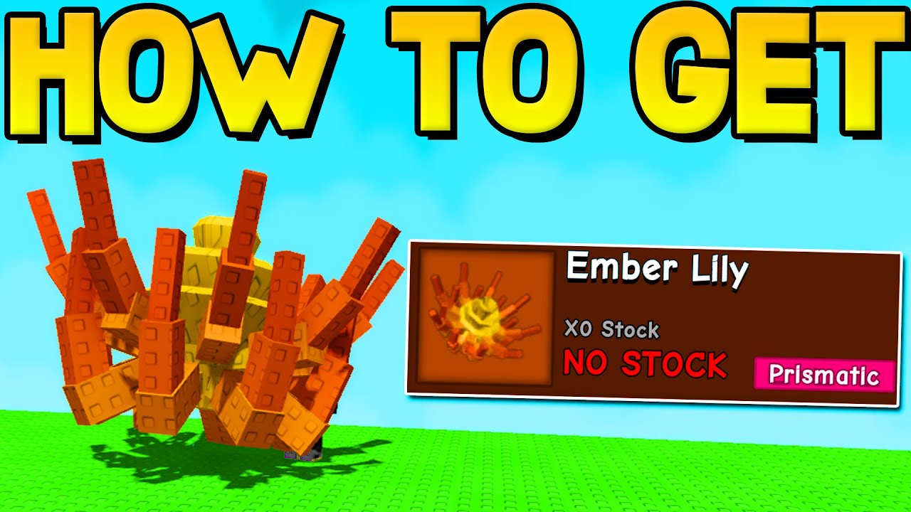 Growing a Beautiful Garden with Ember Lilies – CFS News