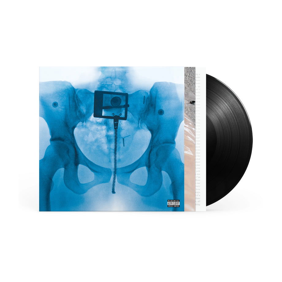 Exploring the Latest Lorde Vinyl Picture Releases – CFS News