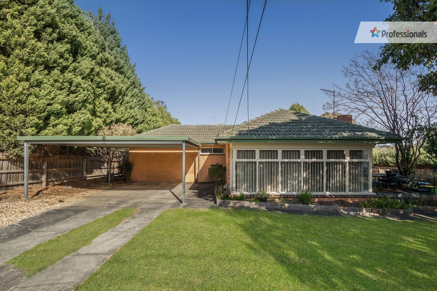 A Closer Look at Coleman Road in Wantirna South – CFS News