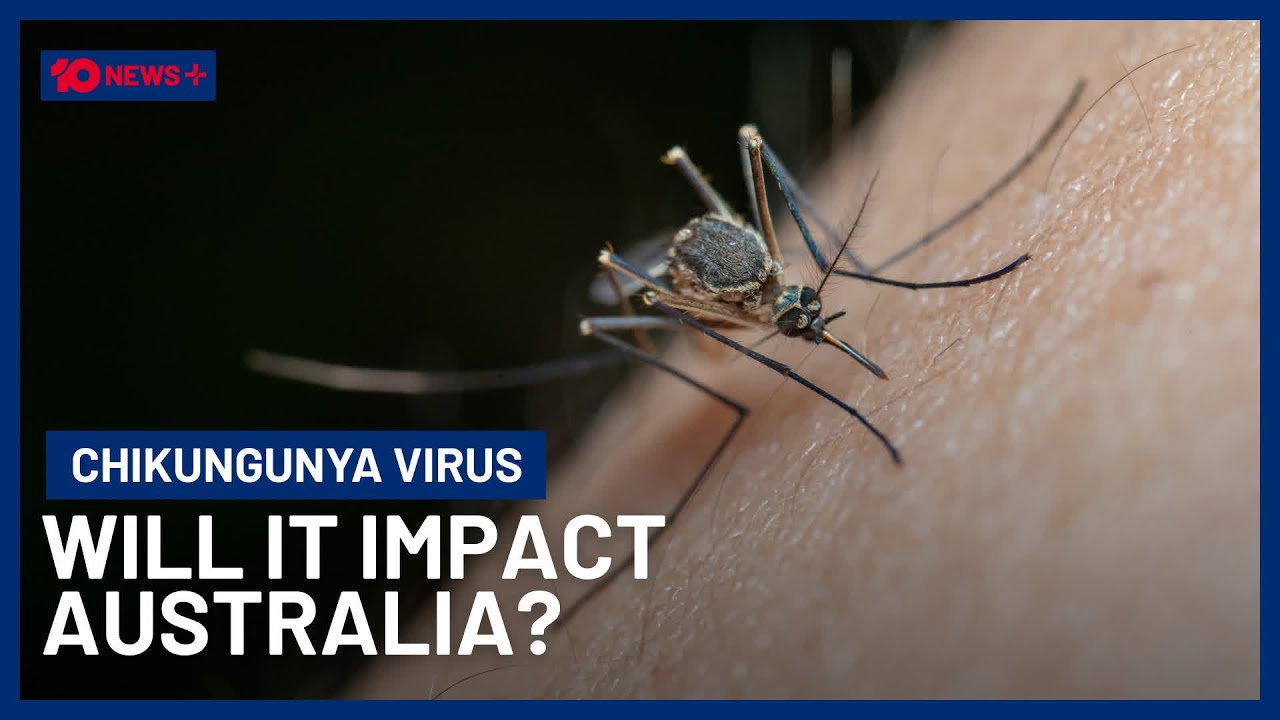 Rising Concerns: The Chikungunya Virus Outbreak in China – CFS News