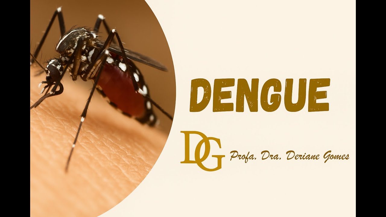Dengue Fever Outbreak: What’s Happening in Australia? – CFS News