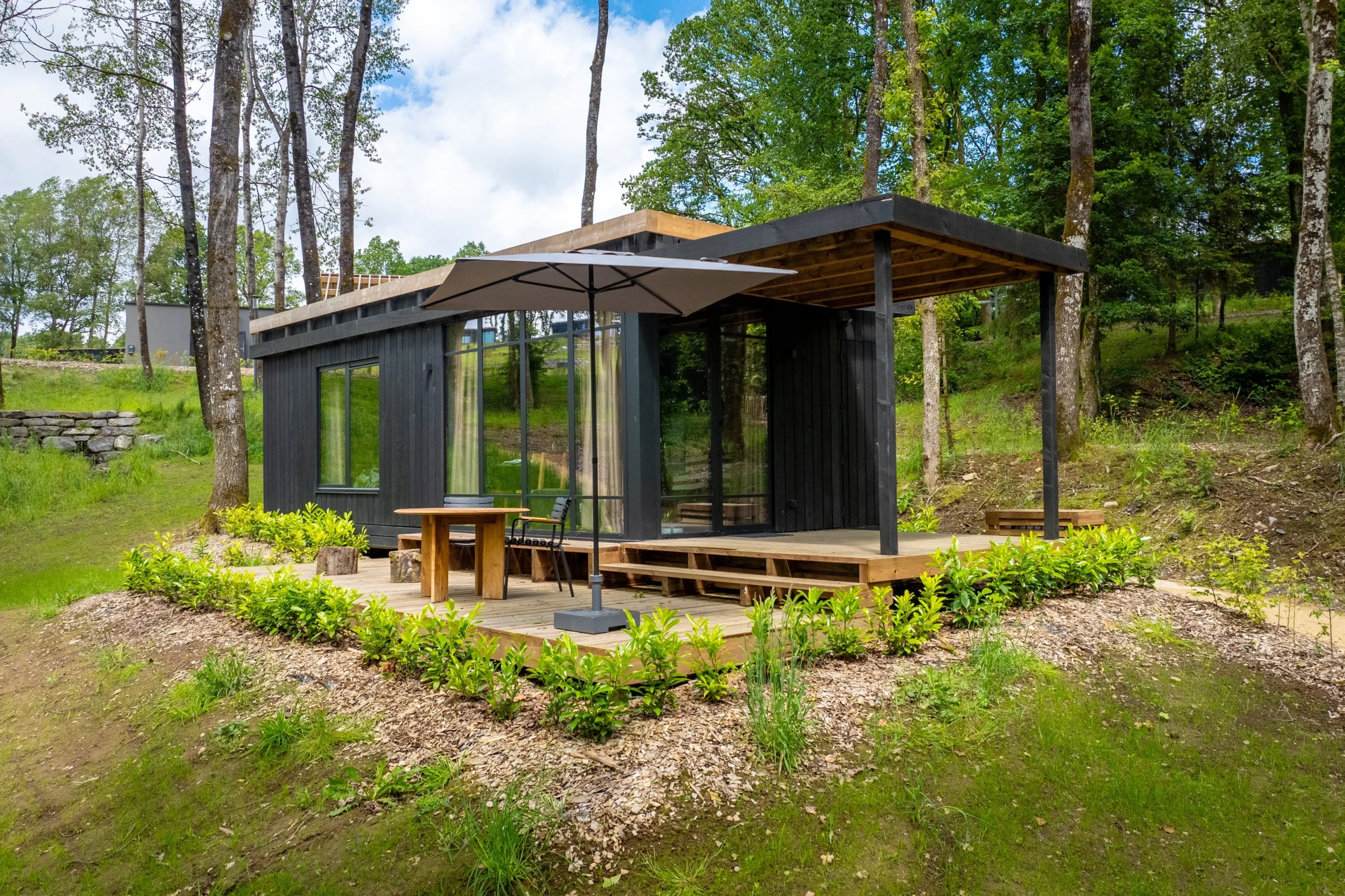 Exploring the Charm of Forest Lodge, Sydney – CFS News