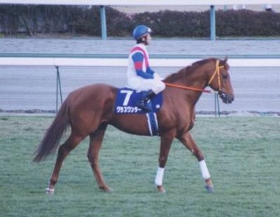 The Wonders of Grass Wonder: A Closer Look – CFS News