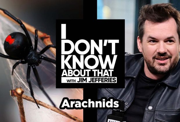 The Rise and Success of Jim Jefferies in Comedy – CFS News