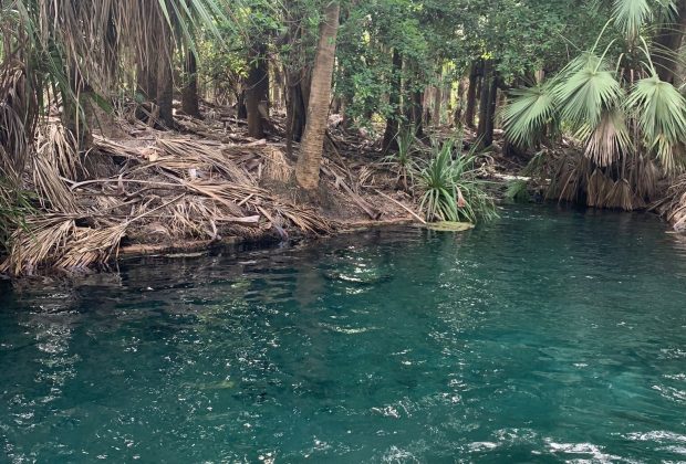 Discover the Beauty and Culture of Mataranka – CFS News