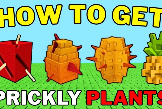 How Prickly Plants Enhance and Grow Your Garden – CFS News