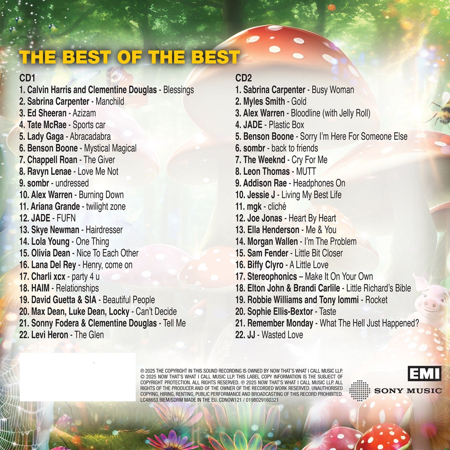 Exploring 9Now: Australia’s Leading Streaming Platform – CFS News