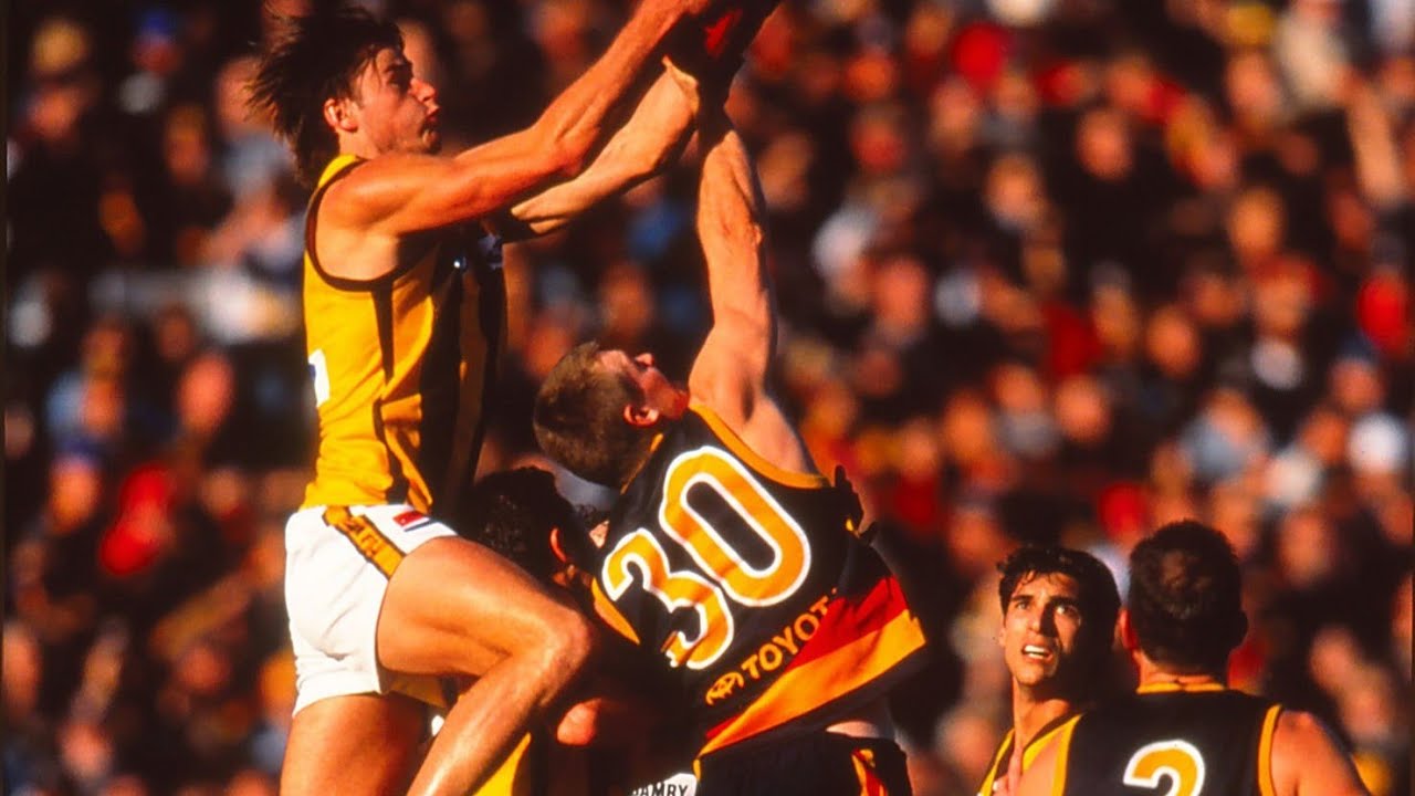 The Conflict Between Crows and Hawks in Nature – CFS News