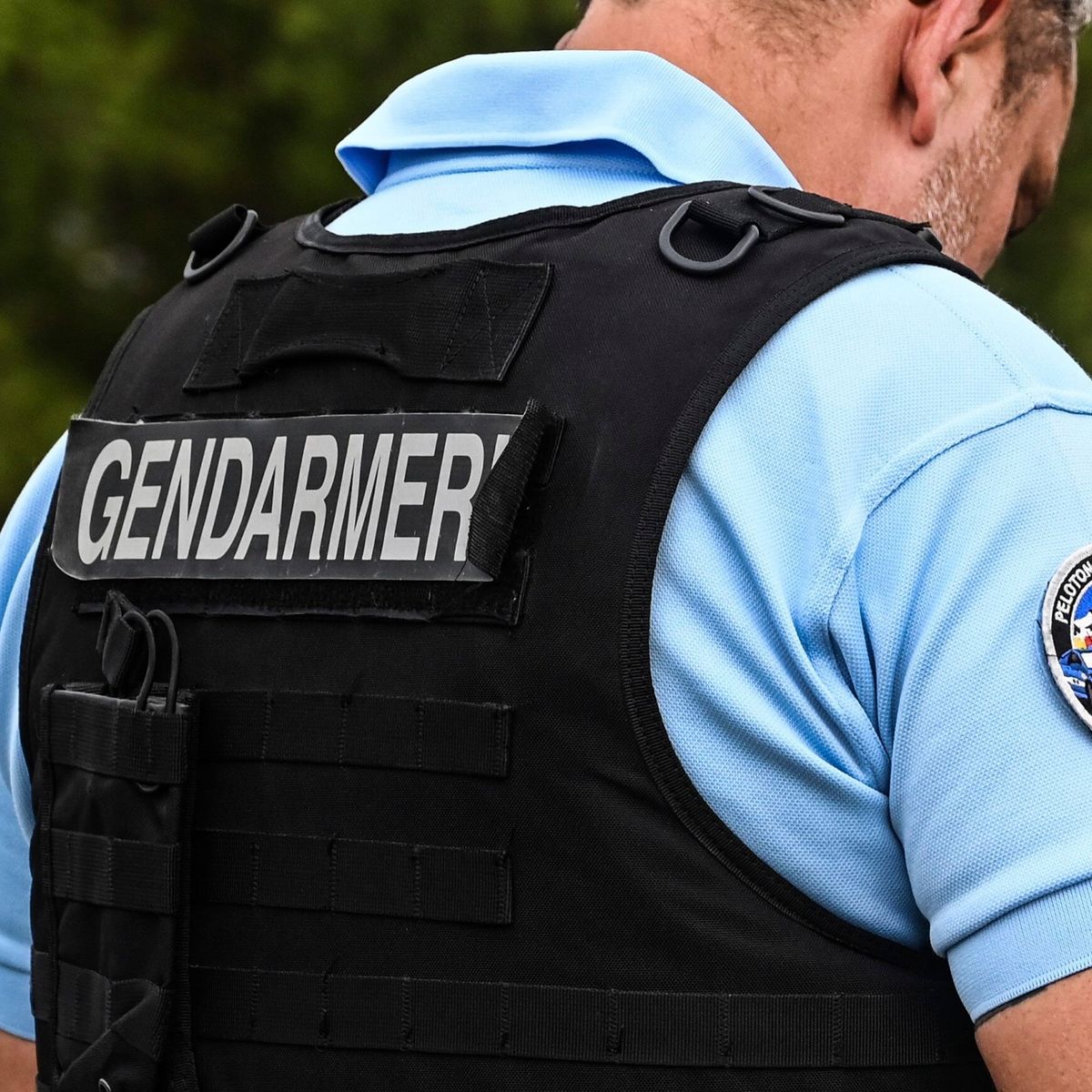 The Role and Importance of the Gendarmerie in Australia – CFS News
