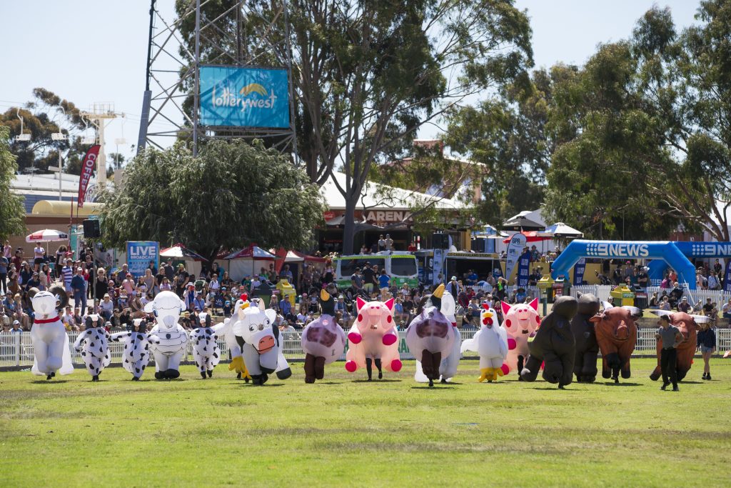 A Comprehensive Overview of the Perth Royal Show 2023 – CFS News