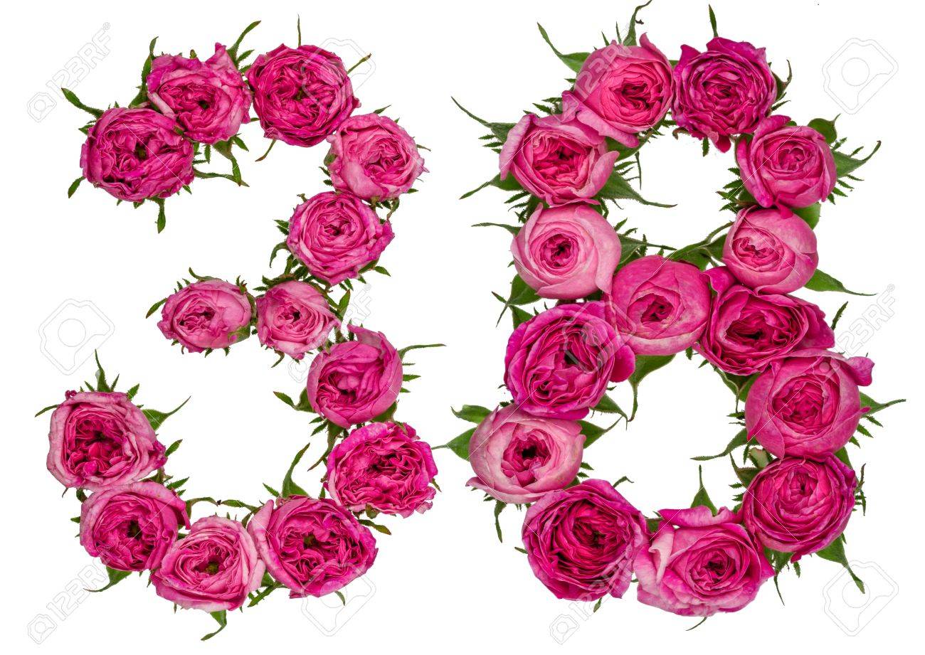 All About The Roses: Care, Varieties, and Significance – CFS News