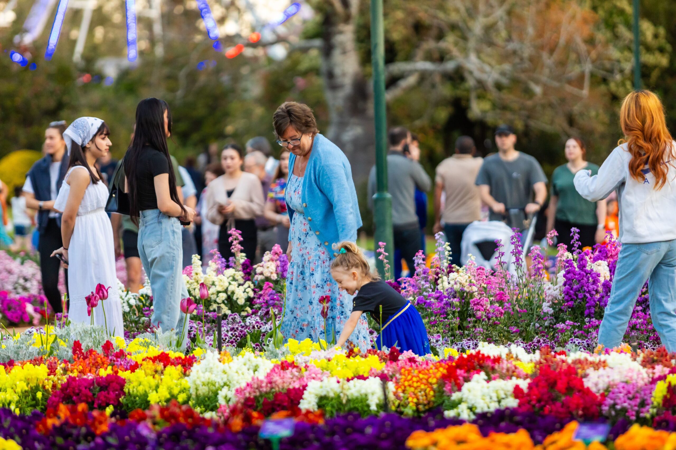 Exploring the Toowoomba Flower Festival 2023 – CFS News