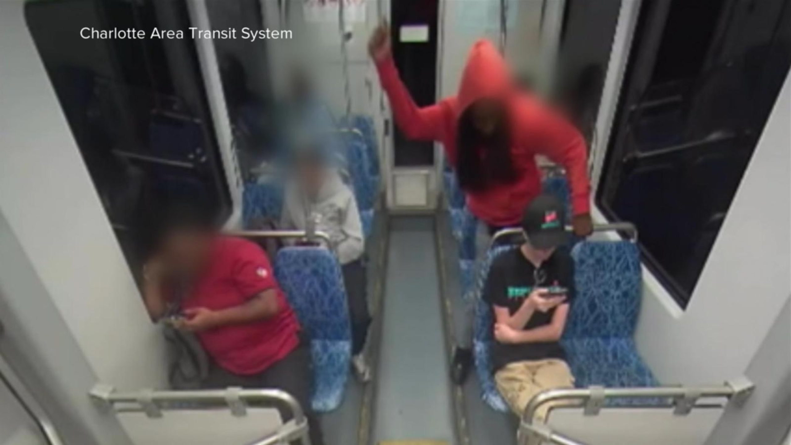 Tragic Incident: Ukrainian Girl Stabbed on Train – CFS News