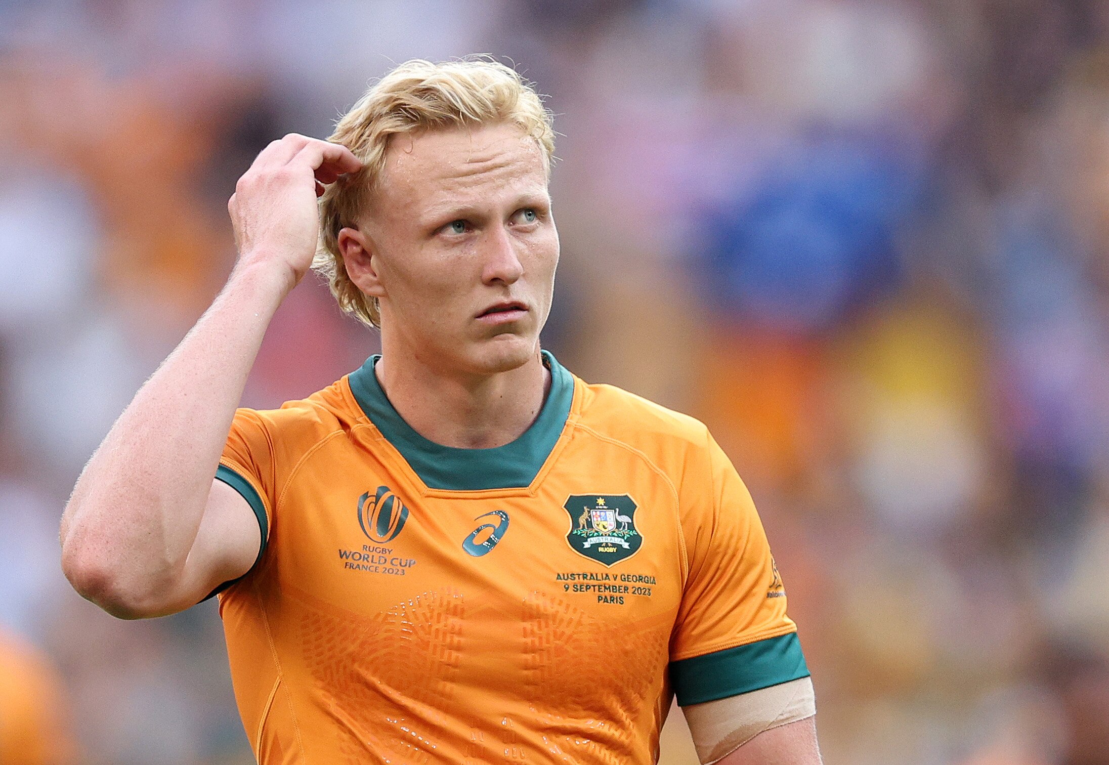 Carter Gordon: The Future of Australian Rugby – CFS News
