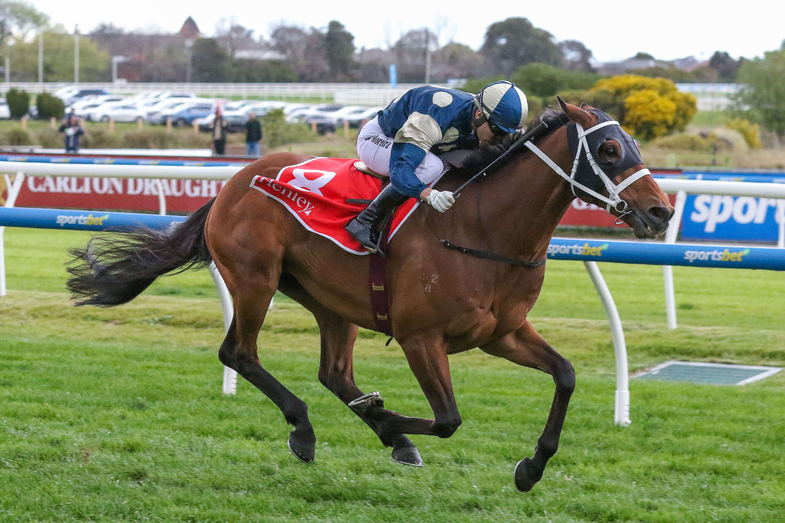 Flemington Races Today: What You Need to Know – CFS News