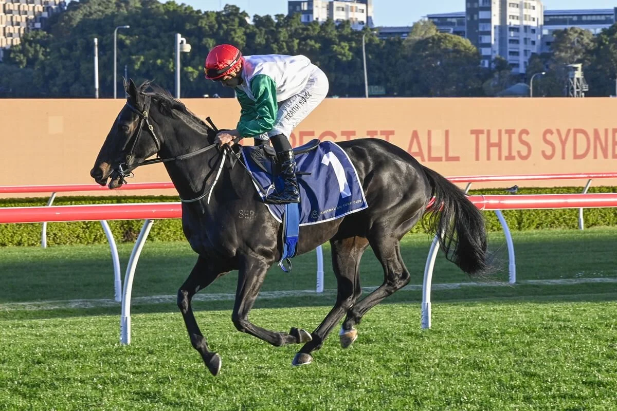 An Insight into the Melbourne Cup Field 2025 – CFS News