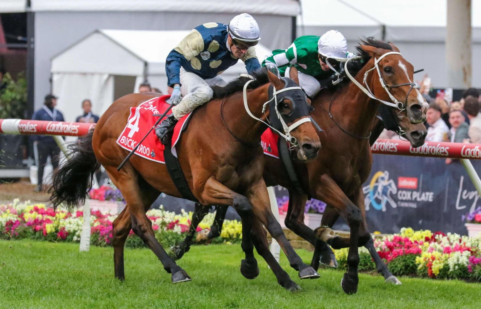 A Look Ahead to the Melbourne Cup Field 2025 – CFS News