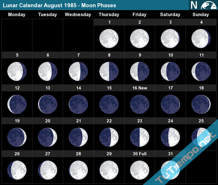 Exploring the Fascinating World of Moon Phases – CFS News