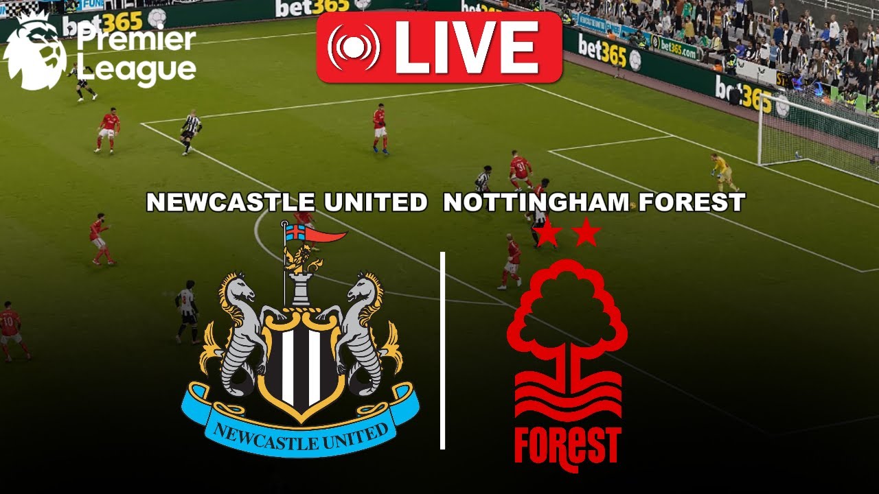 Newcastle vs Nottm Forest: Match Highlights and Analysis – CFS News