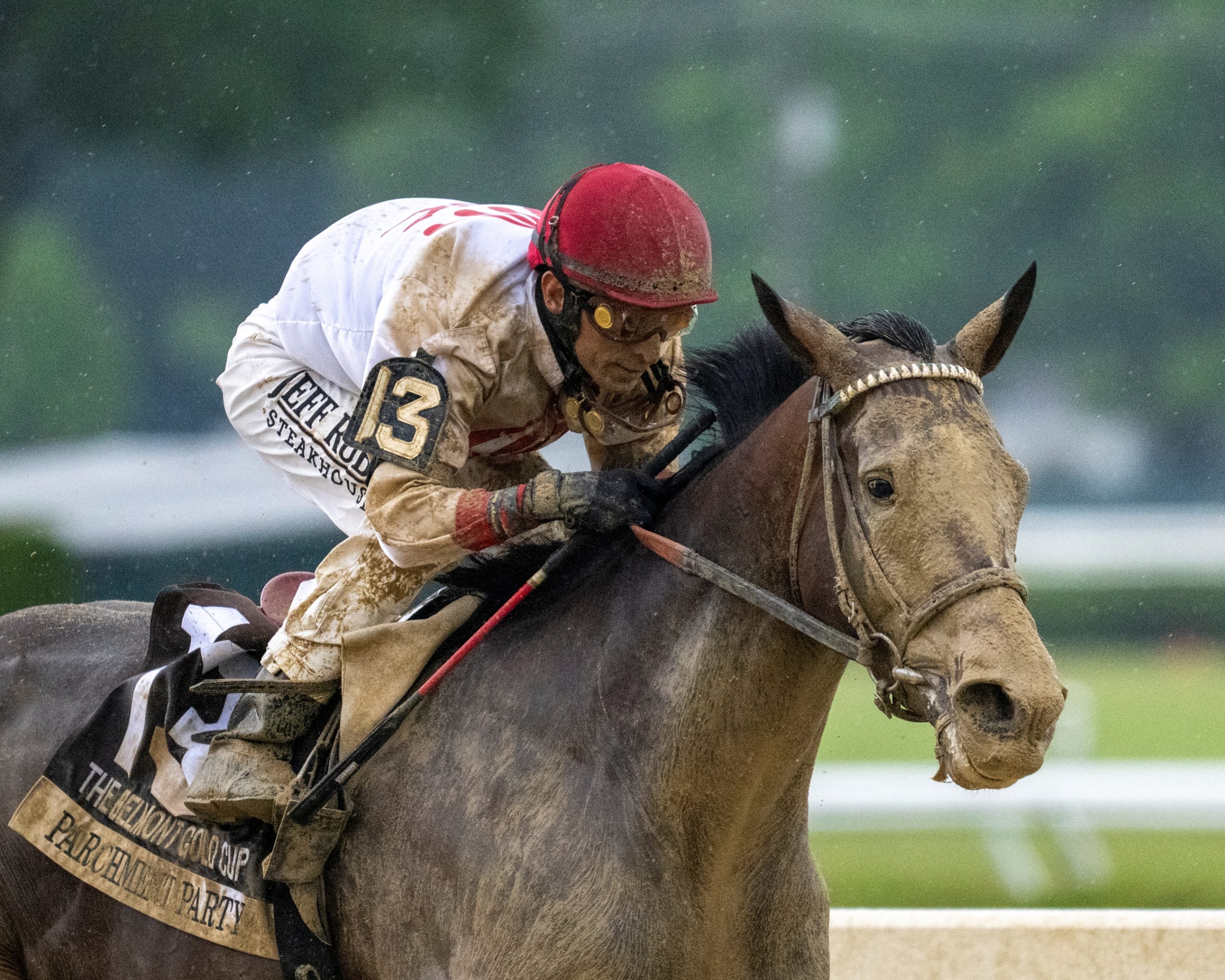 Exploring the Rise of Parchment Party Horses in Equestrian Events – CFS ...