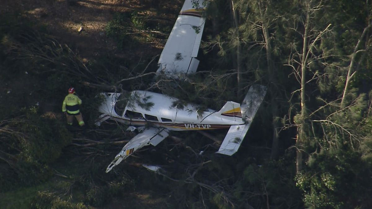 Tragic Plane Crash in Sydney: What We Know So Far – CFS News