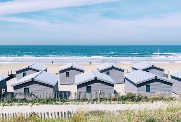 Understanding the Beach: Use, Conservation and Safety – CFS News