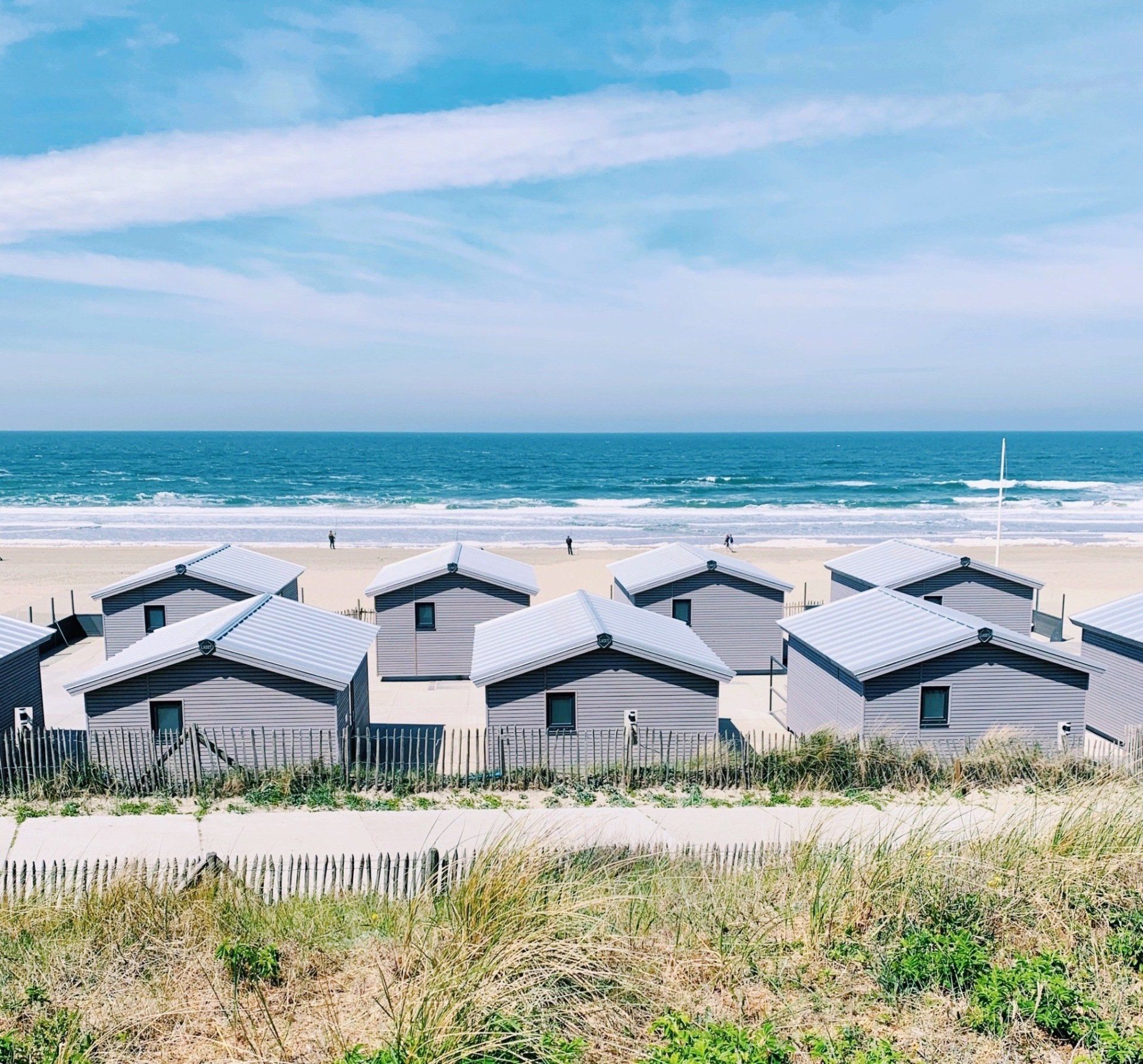 Understanding the Beach: Use, Conservation and Safety – CFS News