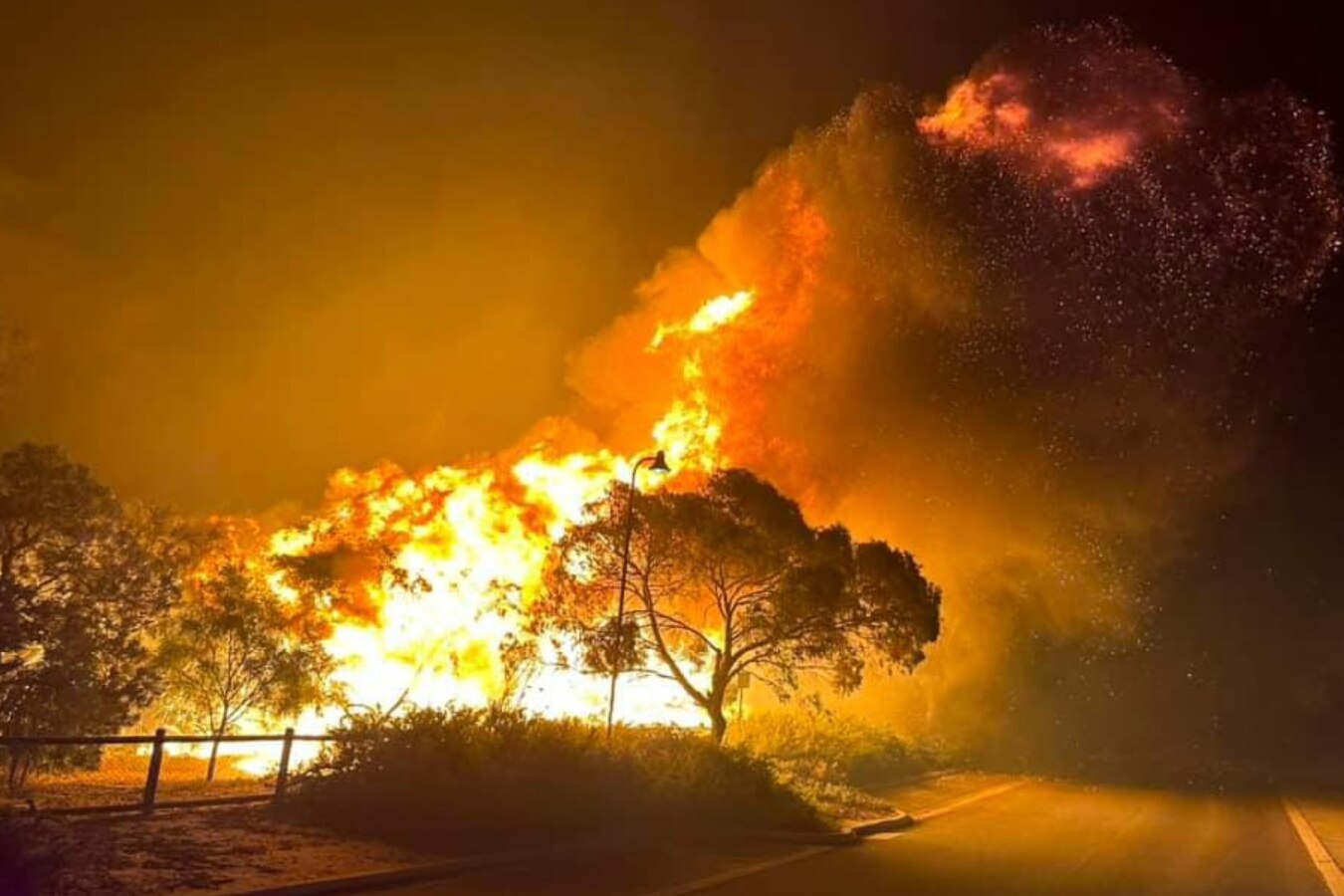 Latest Developments on Bushfires in Perth – CFS News