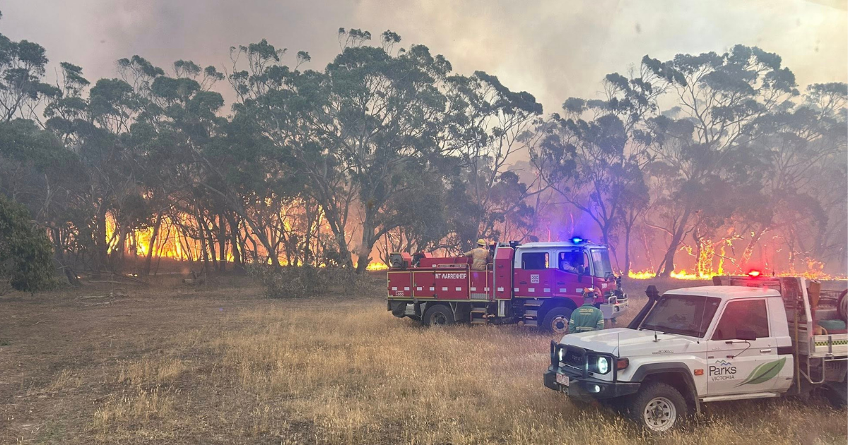Latest Developments on the Otways Fire – CFS News